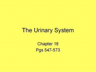 The Urinary System presentation | free to view