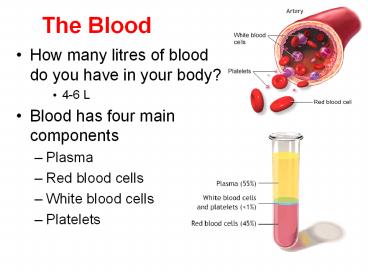 The Blood presentation | free to download