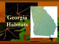 PPT – Animal Habitats PowerPoint presentation | free to view - id ...
