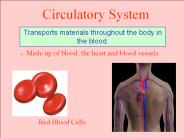 PPT – Circulatory System PowerPoint presentation | free to view - id ...