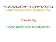 PPT – Anatomy and Physiology of the Digestive System PowerPoint ...