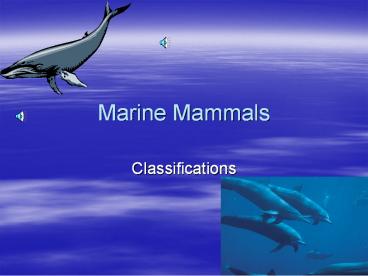 Marine Mammals presentation | free to download