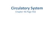 PPT – Circulatory System PowerPoint presentation | free to view - id ...
