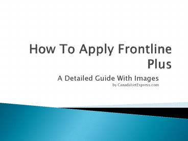 How to use Frontline Plus presentation | free to download