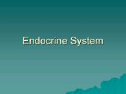PPT – ENDOCRINE SYSTEM PowerPoint presentation | free to view - id ...