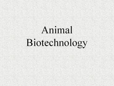 Animal Biotechnology presentation | free to view
