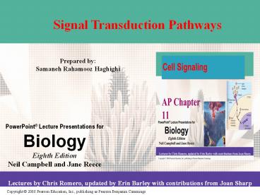 Signal Transduction Pathways presentation | free to download