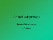 PPT – Animal Adaptations PowerPoint presentation | free to view - id ...