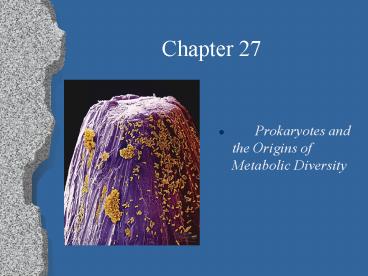 Prokaryotes and the Origins of Metabolic Diversity presentation | free ...