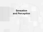 PPT – La Perception PowerPoint presentation | free to download - id ...