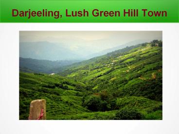 5 Star hotels in Darjeeling presentation | free to download