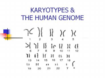 KARYOTYPES presentation | free to view