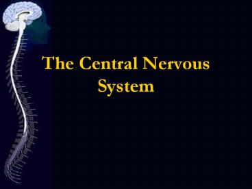 The Central Nervous System presentation | free to download