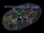 PPT – 2D Materials Introduction PowerPoint presentation | free to ...