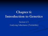 PPT – Introduction to Genetics PowerPoint presentation | free to view ...