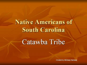 Native Americans of South Carolina presentation | free to download
