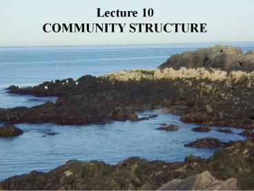 COMMUNITY STRUCTURE presentation | free to view