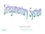 PPT – The Anatomy of the Integumentary System-Skin PowerPoint ...