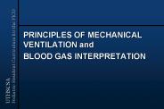 PPT – Principles of Mechanical Ventilation PowerPoint presentation ...