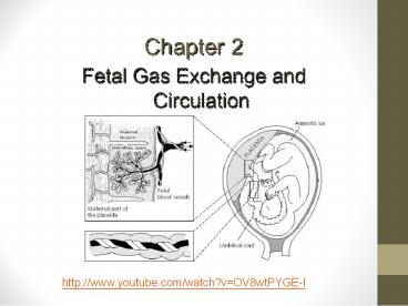 PPT – Fetal Gas Exchange and Circulation PowerPoint presentation | free ...