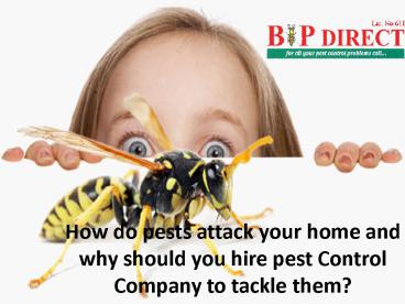 How do pests attack your home and why should you hire pest Control ...