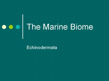 The Marine Biome presentation | free to view