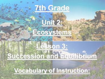 PPT – 7th Grade PowerPoint presentation | free to download - id: 80852a ...