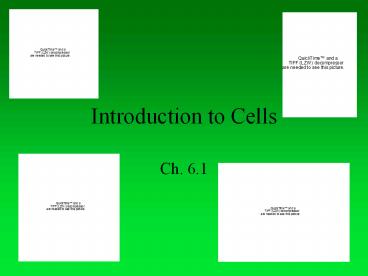 PPT – Introduction to Cells PowerPoint presentation | free to view - id ...