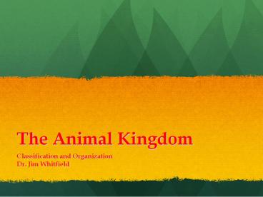 The Animal Kingdom presentation | free to view