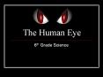 PPT – The Human Eye PowerPoint presentation | free to download - id ...