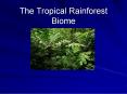 PPT – Tropical Rainforest PowerPoint presentation | free to view - id ...