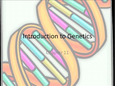 Introduction to Genetics presentation | free to download
