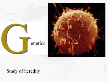 PPT – Study of heredity PowerPoint presentation | free to download - id ...