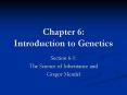 PPT – Introduction to Genetics PowerPoint presentation | free to view ...