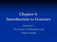 PPT – Introduction to Genetics PowerPoint presentation | free to view ...