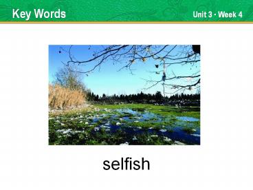 PPT – Unit 3 ? Week 4 PowerPoint presentation | free to download - id ...