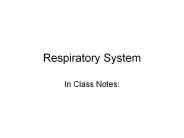 PPT – The Respiratory System PowerPoint presentation | free to download ...