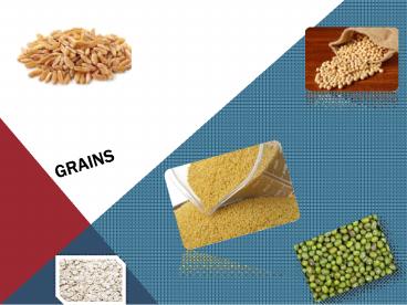 PPT – Grains PowerPoint presentation | free to download - id: 81b23a-M2NlY