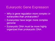 PPT – Gene Regulation in Eukaryotes PowerPoint presentation | free to ...
