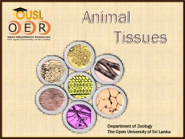 Animal Tissues presentation | free to view