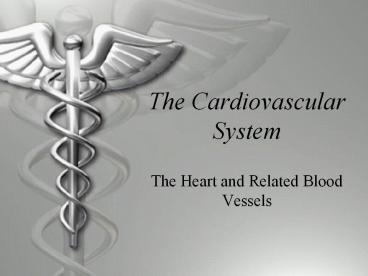 The Cardiovascular System presentation | free to view