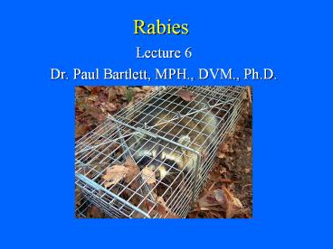 PPT – Rabies PowerPoint presentation | free to download - id: 82c600-MDE5Z