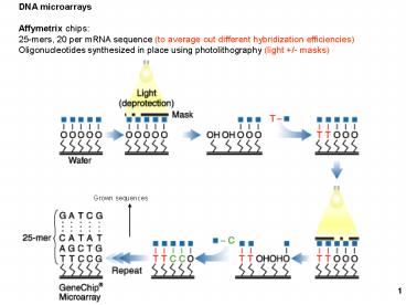 PPT – DNA microarrays PowerPoint presentation | free to download - id ...