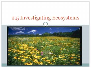 2.5 Investigating Ecosystems presentation | free to download