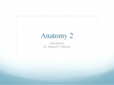 Anatomy 2 presentation | free to download