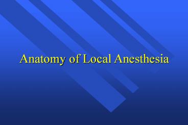PPT – Anatomy of Local Anesthesia PowerPoint presentation | free to ...