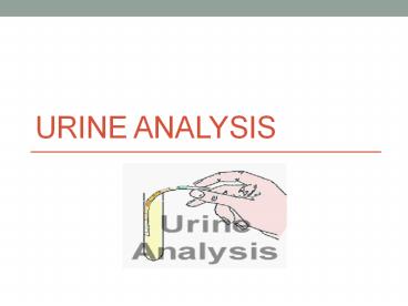 Urine%20analysis presentation | free to download