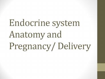 Endocrine system Anatomy and Pregnancy/ Delivery presentation | free to ...