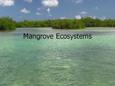Mangrove Ecosystems Presentation Free To View