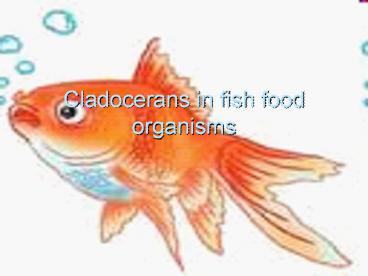 Fish food organism presentation | free to download